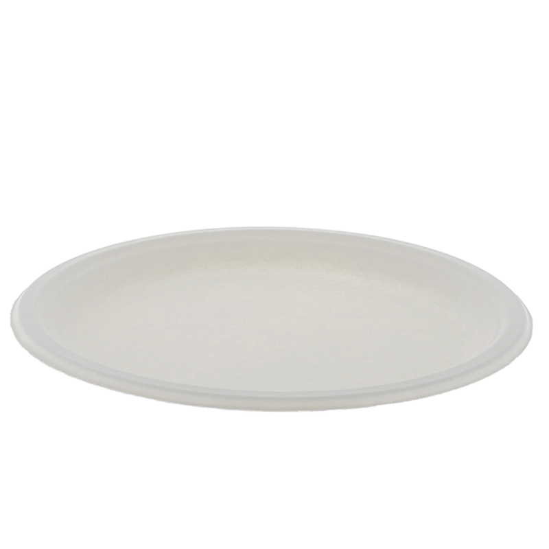10" PFAS-Free Compostable Fiber Blend Plate | Pactiv Evergreen
